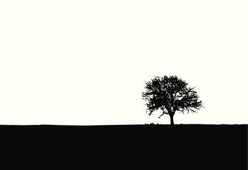 One Lonely Tree Vector Silhouette向量圖形及更多橡樹圖片 橡樹 側影 高 物體描述 Istock