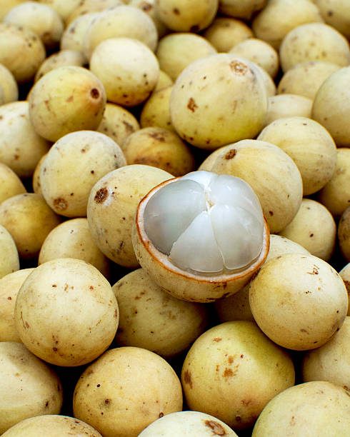 Buah Duku