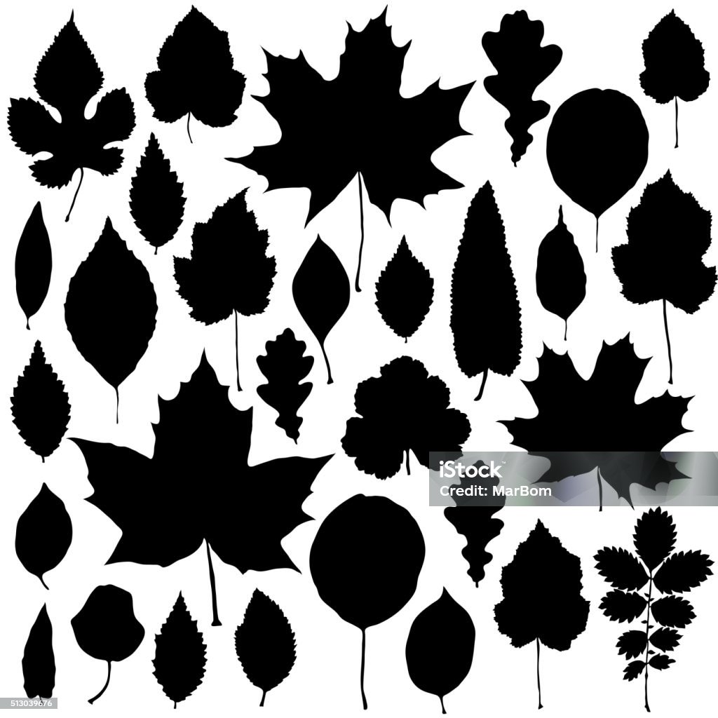 Ilustración de Vector De Conjunto De Hojas Silueta y más Vectores ... Ilustración de Vector De Conjunto De Hojas Silueta y más Vectores ...