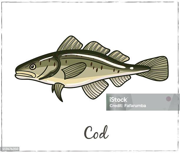 Cod Pengumpulan Ikan Ilustrasi Vektor Ilustrasi Stok - Unduh Gambar ... Cod Pengumpulan Ikan Ilustrasi Vektor Ilustrasi Stok - Unduh Gambar ...