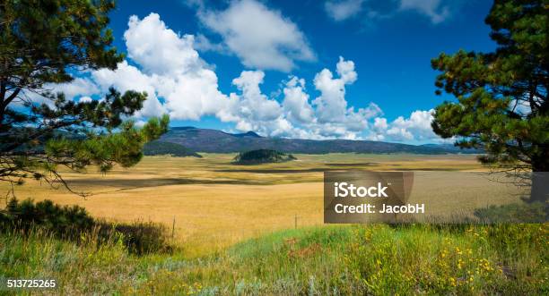 Valles 칼데라 국립 보존 0명에 대한 스톡 사진 및 기타 이미지 0명 경관 계곡 Istock