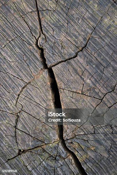 Wood Texture 照片檔及更多 具有特定質地 照片 具有特定質地 垂直構圖 摄影 Istock