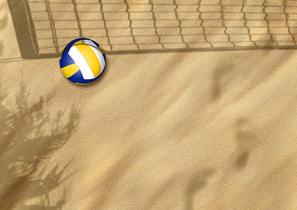 Более 240 работ на тему Hot Beach Volleyball Players стоковые фото
