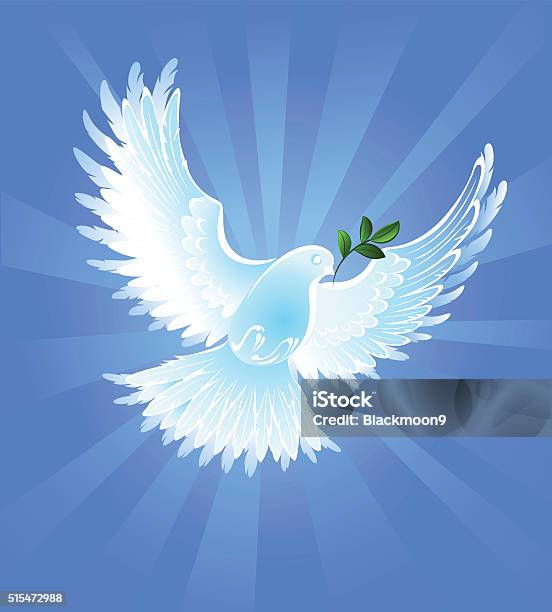 Peace 집비둘기 올리브 가지에 대한 스톡 벡터 아트 및 기타 이미지 올리브 가지 평화의 비둘기 가축 Istock
