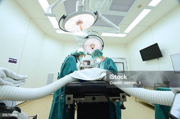 Dua Dokter Bedah Hewan Di Ruang Operasi Foto Stok - Unduh Gambar ... Dua Dokter Bedah Hewan Di Ruang Operasi Foto Stok - Unduh Gambar ...