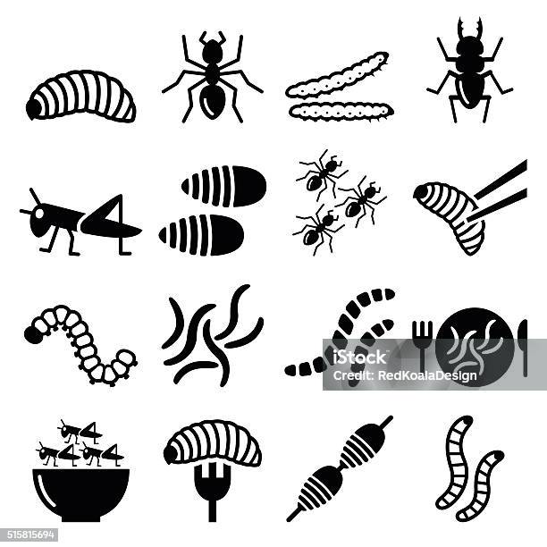 Edible Worms And Insects Icons Alternative Source On Protein向量圖形及更多昆蟲圖片