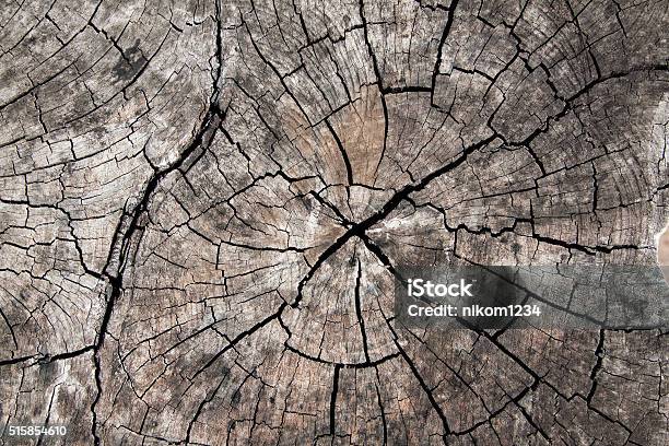 Wood Texture 照片檔及更多 三夾板 照片 三夾板 厚板 咖啡色 Istock