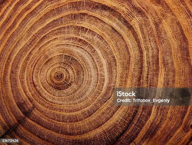 Wood Background 照片檔及更多 具有特定質地 照片 具有特定質地 木材 材料 特定結構效果 Istock