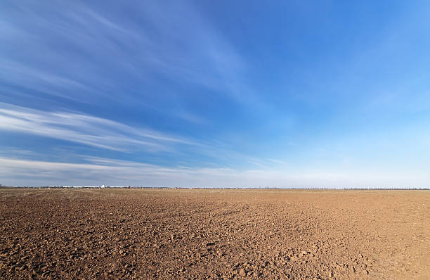 Free picture: Empty flat field soil agricultural farmland