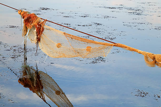 Free picture: calm, fishing, fishing gear, fishnet, water, reflection ...