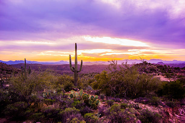 Arizona Sunset Pictures | Download Free Images on Unsplash