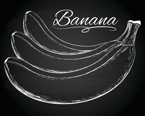 Crude Banana Pictures Illustrations Royalty Free Vector Graphics