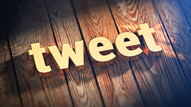 750+ Twitter Header Pictures | Download Free Images on Unsplash