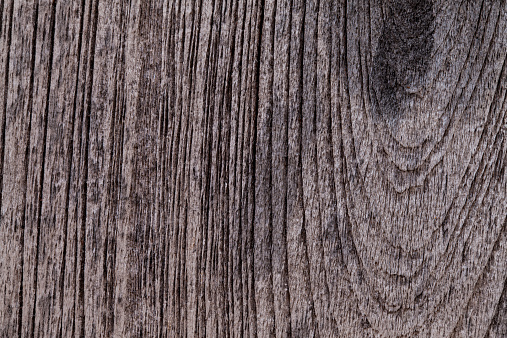 Wood Texture 照片檔及更多 三夾板 照片 三夾板 厚板 可食用菇類 Istock