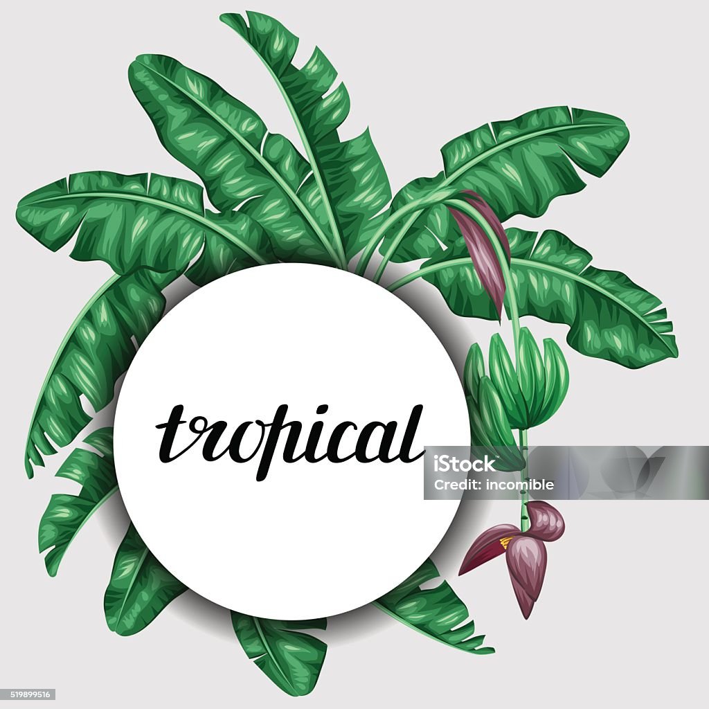 Latar Belakang Dengan Daun Pisang Gambar Dekoratif Dedaunan Tropis