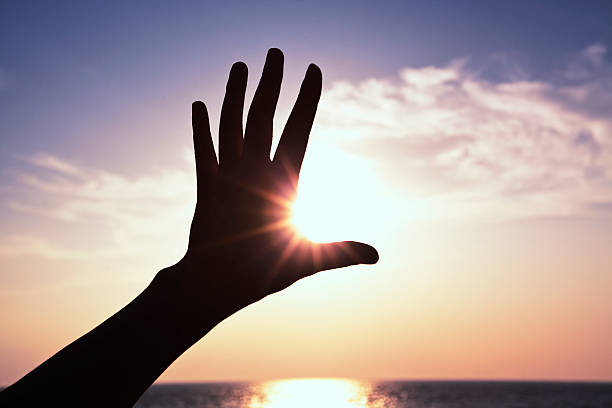 Sun In Hand Pictures | Download Free Images on Unsplash