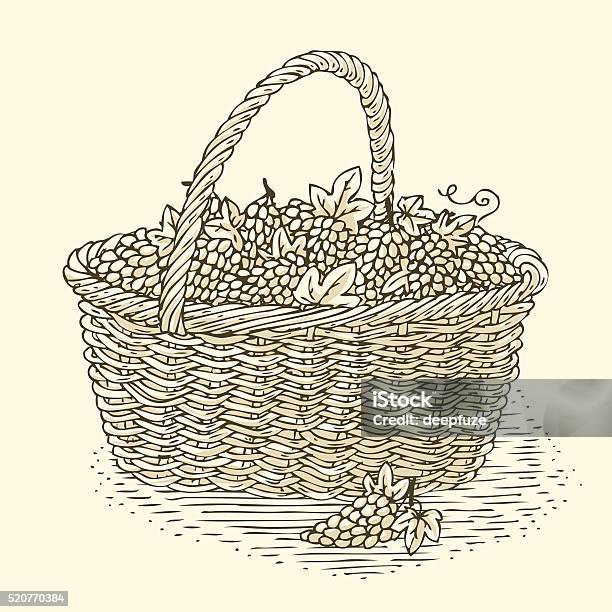 Ukiran Keranjang Wicker Dengan Anggur Matang Ilustrasi Stok - Unduh ... Ukiran Keranjang Wicker Dengan Anggur Matang Ilustrasi Stok - Unduh ...