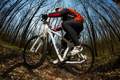 Cyclist 탑승형 자전거 나무에 대한 스톡 사진 및 기타 이미지 나무 남자 두발자전거 Istock