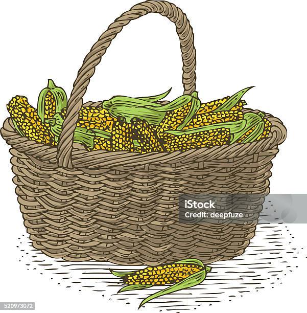 Keranjang Wicker Dengan Jagung Kuning Matang Ilustrasi Stok - Unduh ... Keranjang Wicker Dengan Jagung Kuning Matang Ilustrasi Stok - Unduh ...