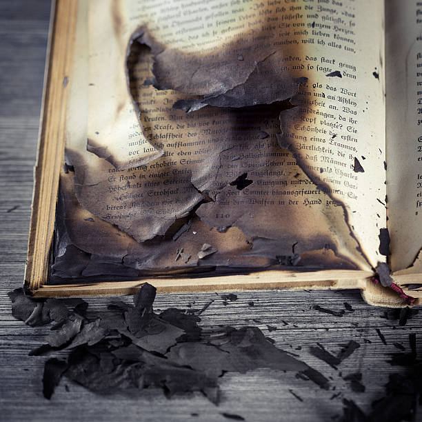 Book Burning Pictures | Download Free Images on Unsplash
