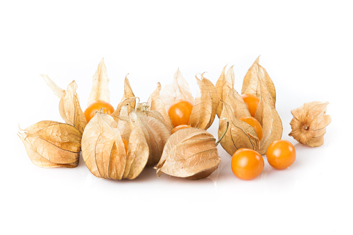 Physalis 흰색 바탕에 흰색 배경 0명에 대한 스톡 사진 및 기타 이미지 0명 과일 꽈리 베리류 Istock