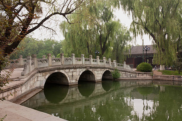 Peking University Pictures | Download Free Images on Unsplash