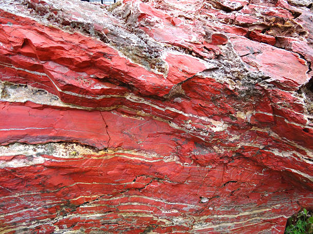 Free Stock Photo of Dark black rock texture with white veins running ...