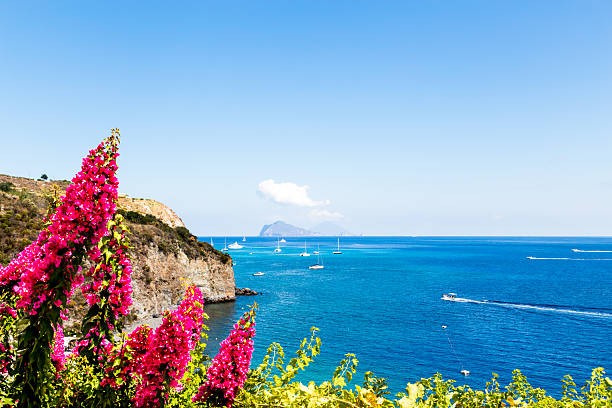 160+ Flores Italian Stock Photos, Pictures & Royalty-Free Images - iStock 160+ Flores Italian Stock Photos, Pictures & Royalty-Free Images - iStock