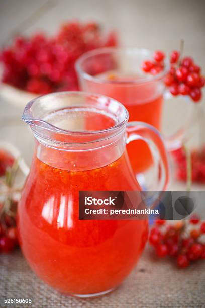 Viburnum 컴포트 양백당나무에 대한 스톡 사진 및 기타 이미지 양백당나무 주스 0명 Istock