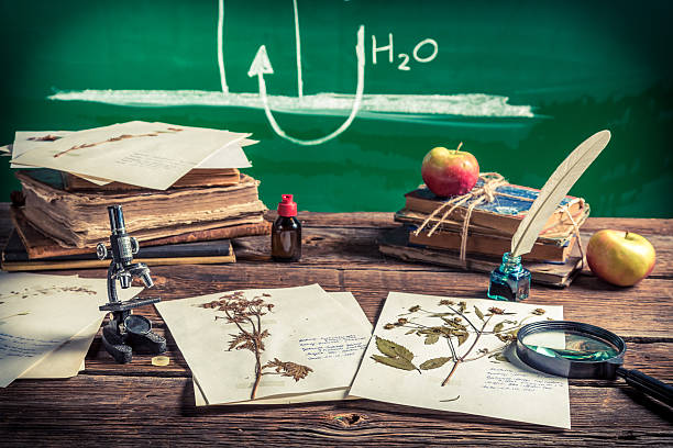 Humanities Pictures | Download Free Images on Unsplash