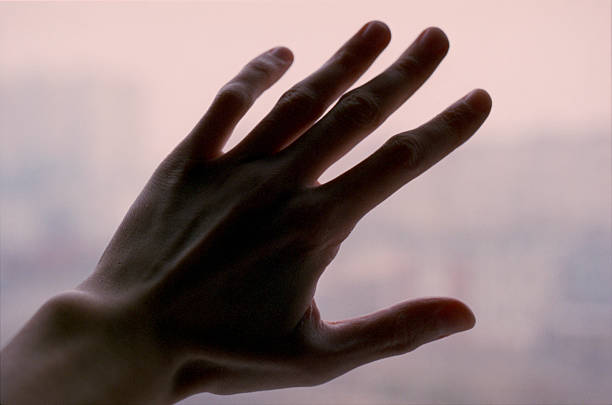 Free Stock Photo of Person Extending Hand in Front of Window | Download ...