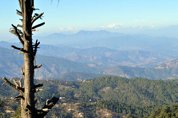 Mukteshwar Pictures | Download Free Images on Unsplash
