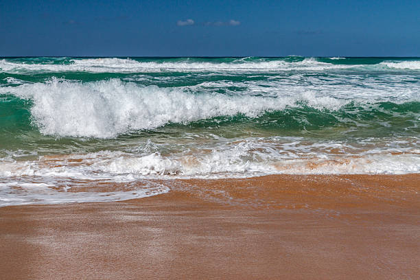Free picture: wave, frothing, beach