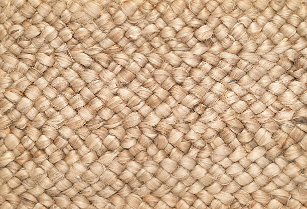 Sisal Pictures | Download Free Images on Unsplash
