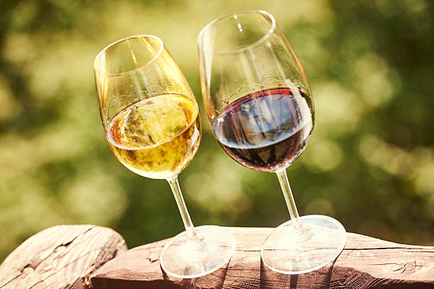 Whine Pictures | Download Free Images on Unsplash