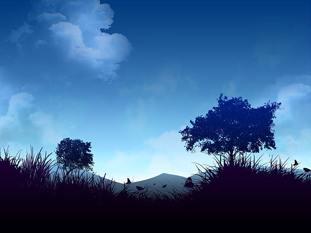 Pfp Landscape Aforestation - Free photo on Pixabay