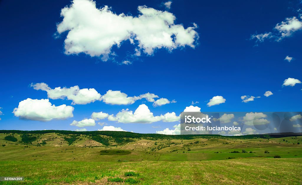 Lapangan Hijau Dan Langit Biru Dengan Awan Terang Foto Stok - Unduh ... Lapangan Hijau Dan Langit Biru Dengan Awan Terang Foto Stok - Unduh ...