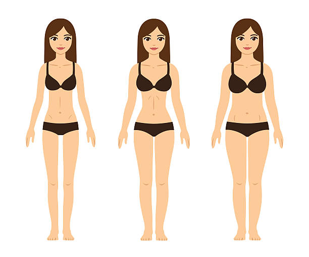 Average Woman Body Shape