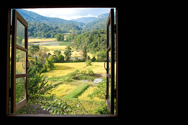 500+ Window View Pictures | Download Free Images on Unsplash