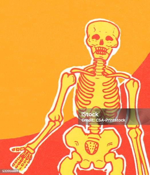 Skeleton Stock Illustration Download Image Now 2015 Anatomy