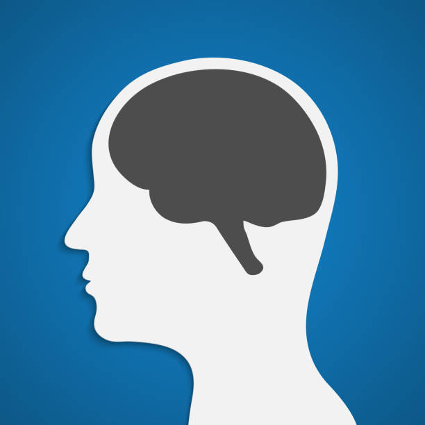Head Brain Silhouette Head Brain Silhouette