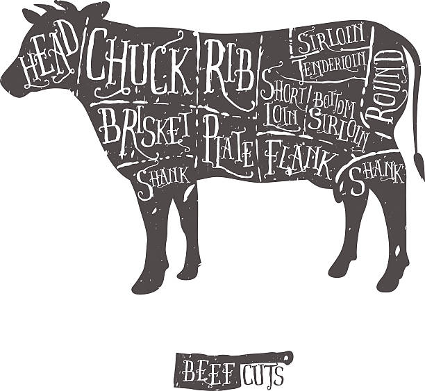 6400 Beef Cuts Stock Illustrations Royalty Free Vector Graphics And Clip Art Istock