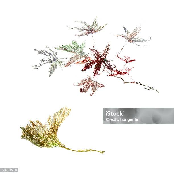 Leaf Drawing Leaves Of Maple Tree Leaf Of Ginkgo向量圖形及更多楓樹圖片 Istock