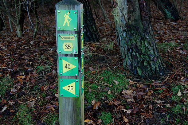 Free picture: mark, marker, marking, sign, symbol, tree, forest, wood ...