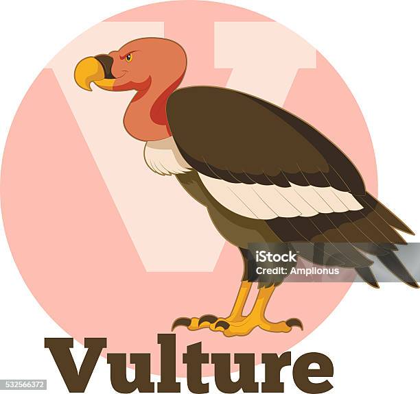 Abc 말풍선이 있는 대머리수리 공부에 대한 스톡 벡터 아트 및 기타 이미지 공부 교습 교육 Istock