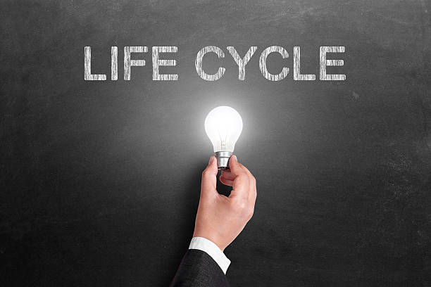 40,000+ Free Product Life Cycle & Cycle Images - Pixabay