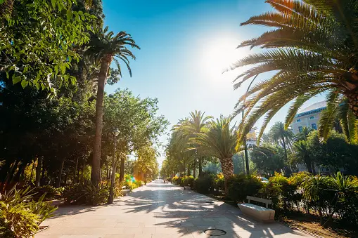 Paseo Del Parque Photos | Télécharger des images gratuites sur Unsplash Paseo Del Parque Photos | Télécharger des images gratuites sur Unsplash