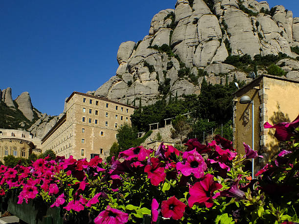Flowers on Montserrat | Free Stock Image - Barnimages
