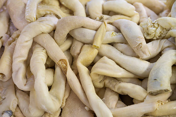 10,000+ Free Cow Intestines & Cow Images - Pixabay