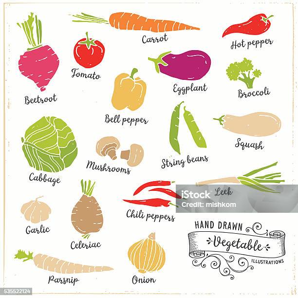 Hand Drawn Vegetables向量圖形及更多蔬菜類圖片 蔬菜類 塊根芹 插圖 Istock